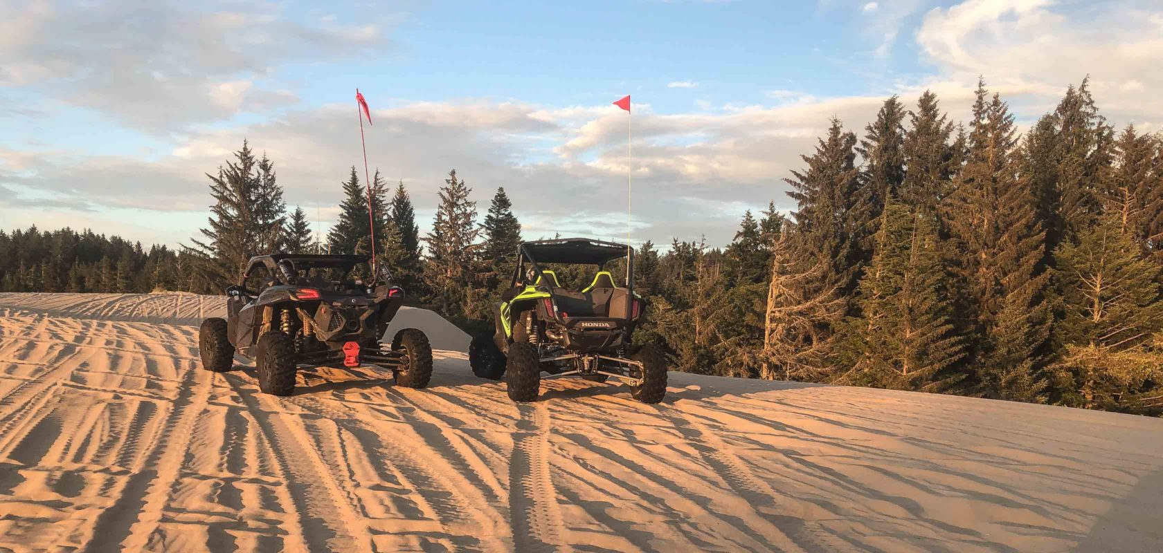 The Oregon Dunes Terrain - Steve's ATV Rentals
